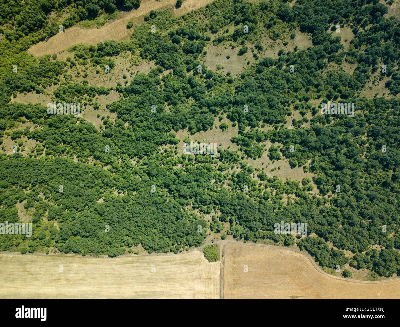 Top view of a landscape covered in lush vegetation and trees Stock ...