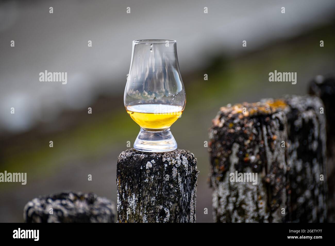 Tasting of dram single malt scotch whisky on seashore in Scotland, old ...