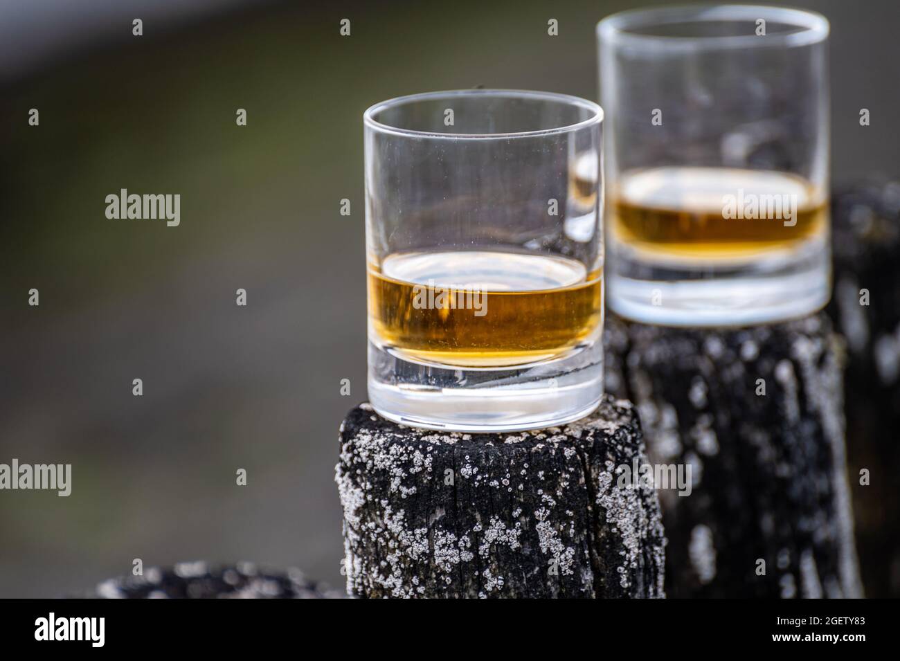 Tasting of dram single malt scotch whisky on seashore in Scotland, old ...