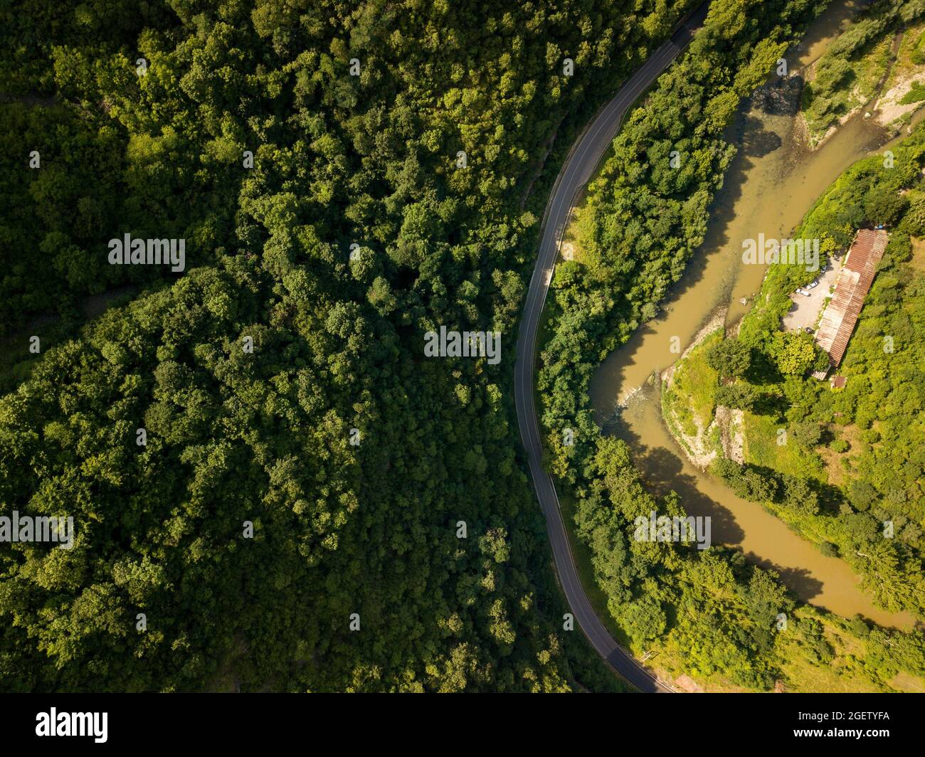 Top view of a landscape covered in lush vegetation and roads Stock ...