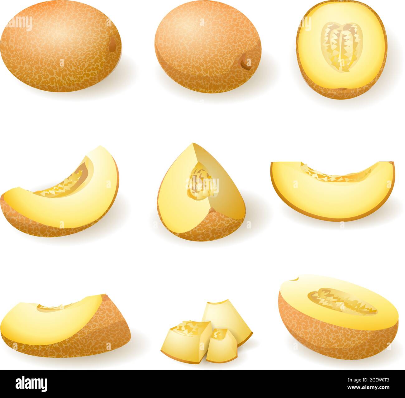 Melon icons set cartoon vector. Snacking cantaloupe Stock Vector Image ...