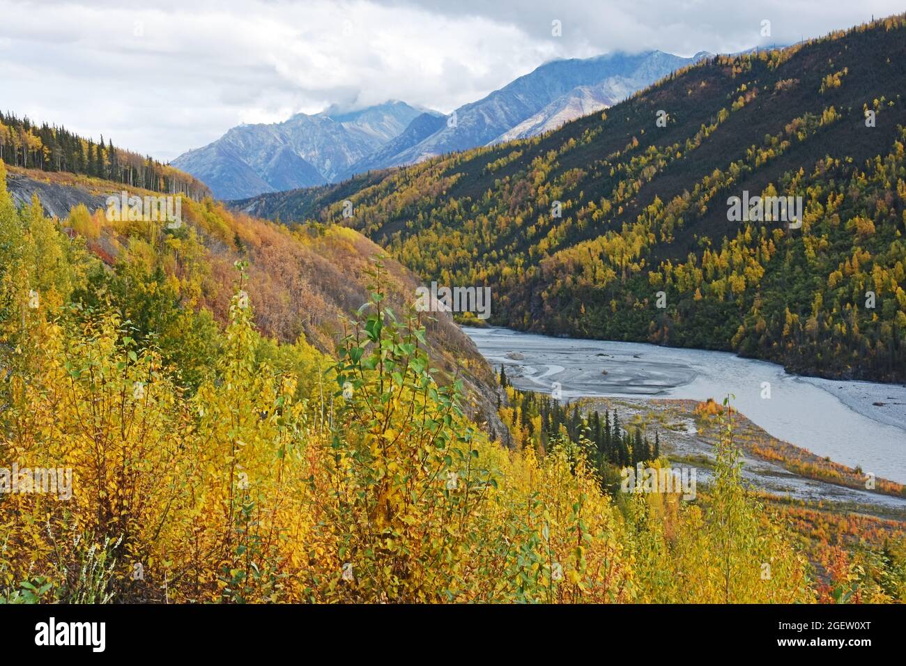 Alaska fall colors and river Stock Photo - Alamy
