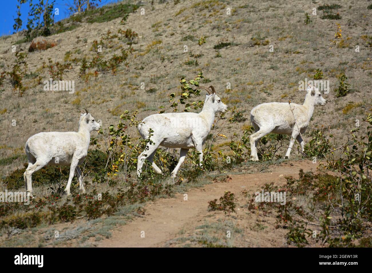 Climb slope hi-res stock photography and images - Alamy