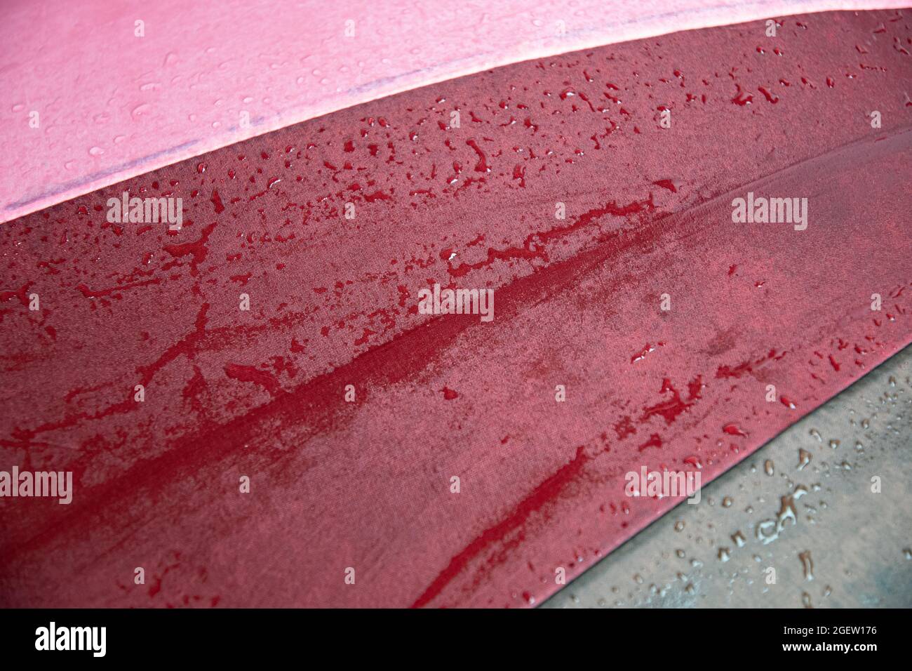 Wet Waterproof Textile Surface Of Raspberry Red And Pink Colored