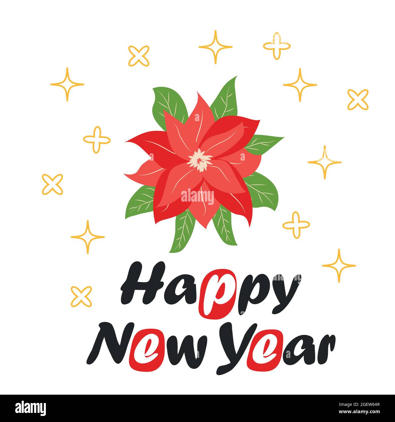 Traditional Christmas poinsettia flower with green leaves and red ...