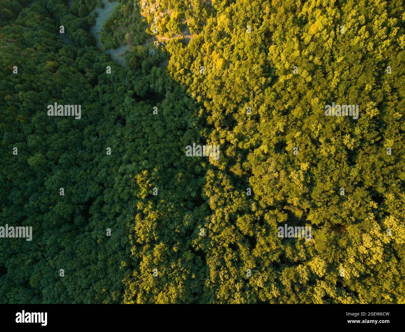 Top view of a landscape covered in lush vegetation and trees Stock ...