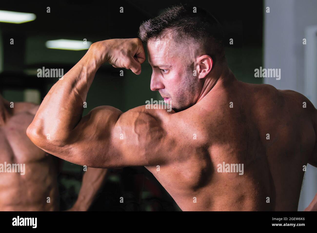 Strong bodybuilder man showing his big bicep muscles Stock Photo - Alamy