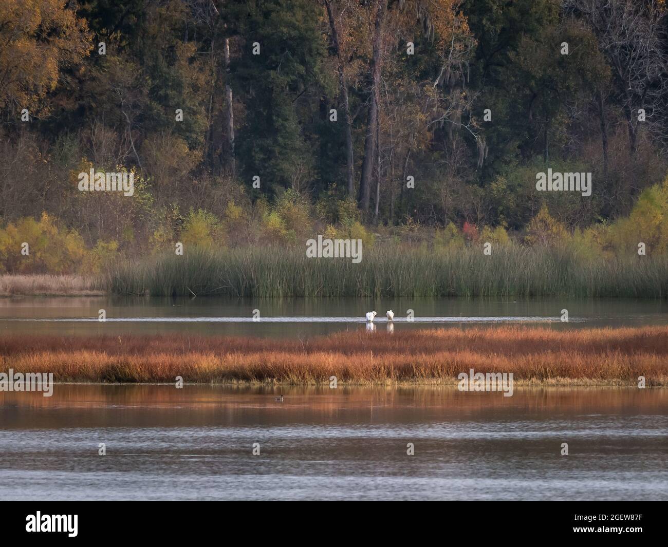 Warm fall colors hi-res stock photography and images - Alamy