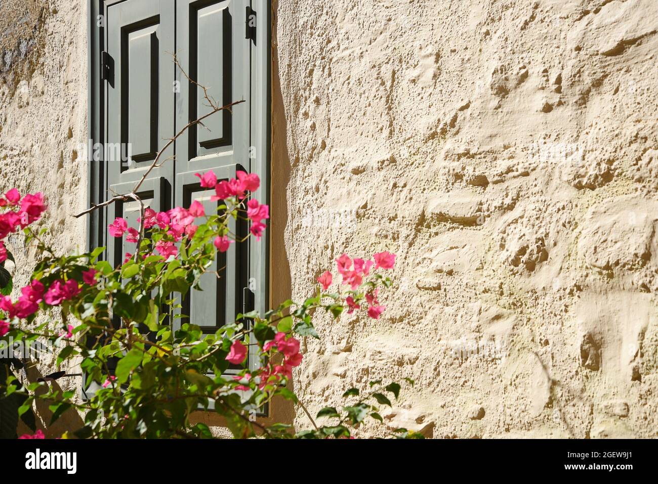 Olive green window shutters on a stone wall with the touch of a pink ...