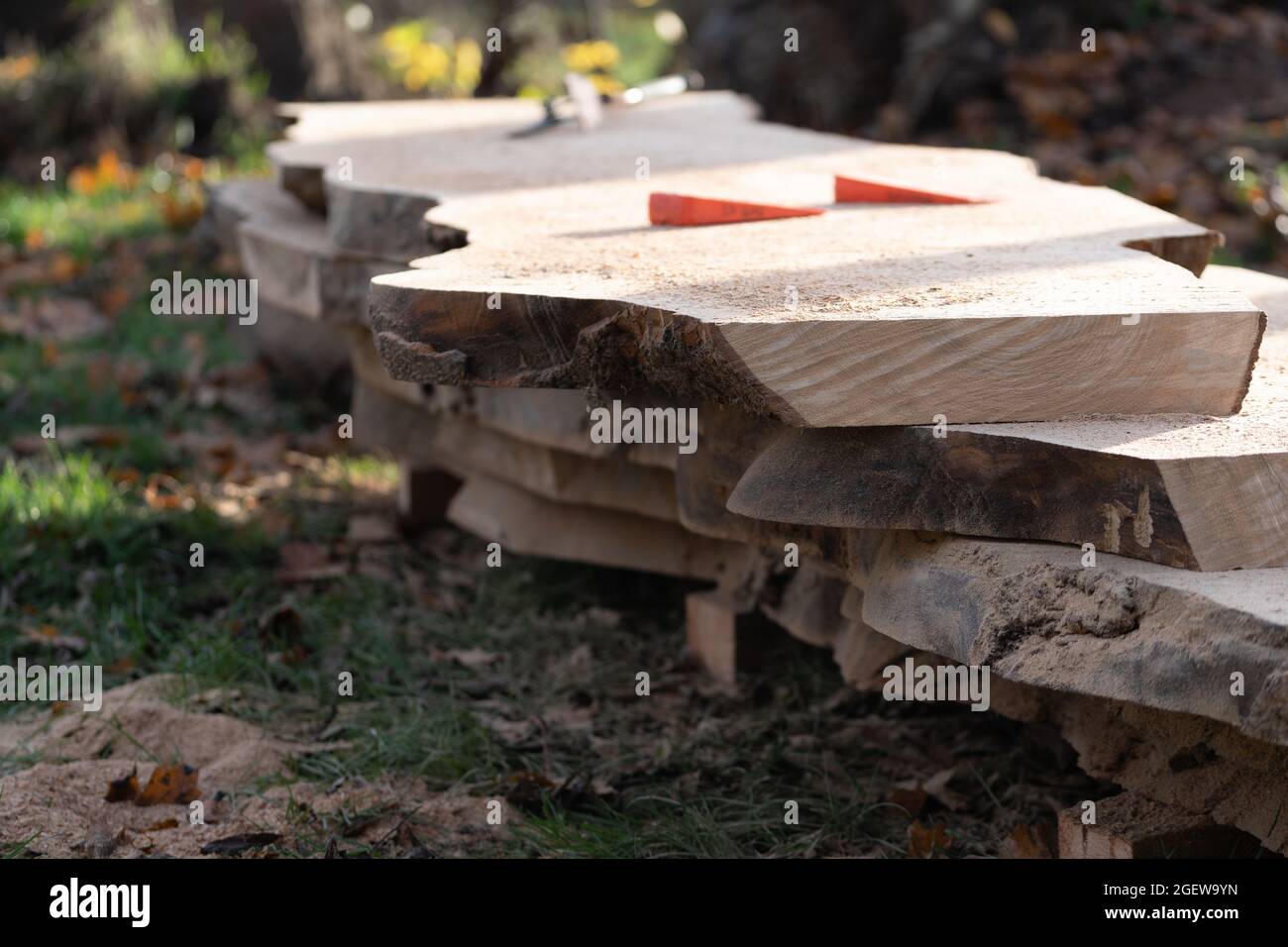 Ashen wood hi-res stock photography and images - Alamy