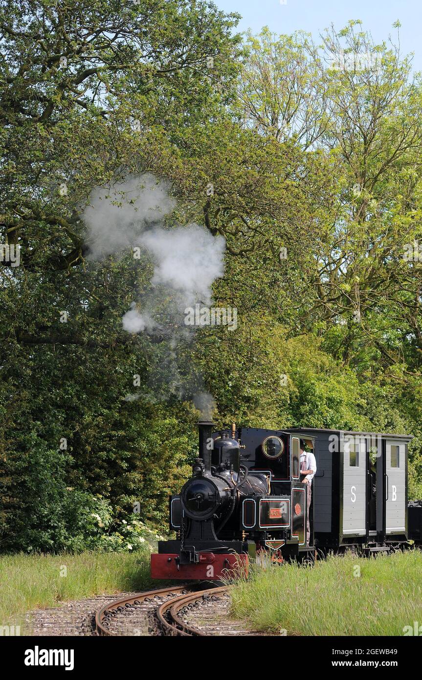 "Marchlyn" (with "Sybil Mary" at the rear of the train) on the balloon ...