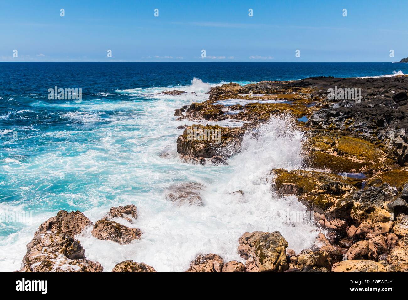 Mackenzie state park hawaii hi-res stock photography and images - Alamy