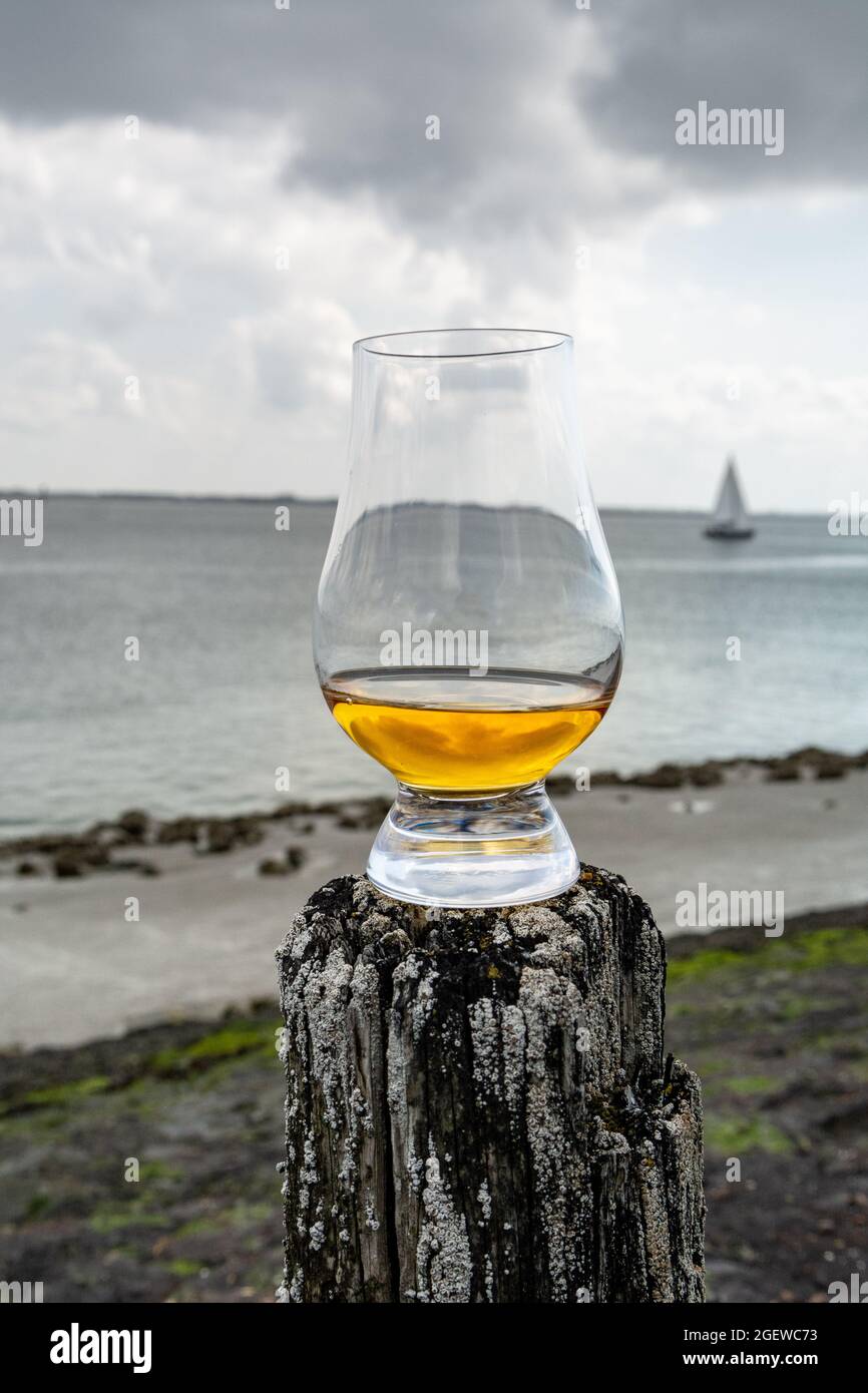 Tasting of dram single malt scotch whisky on seashore in Scotland, old ...