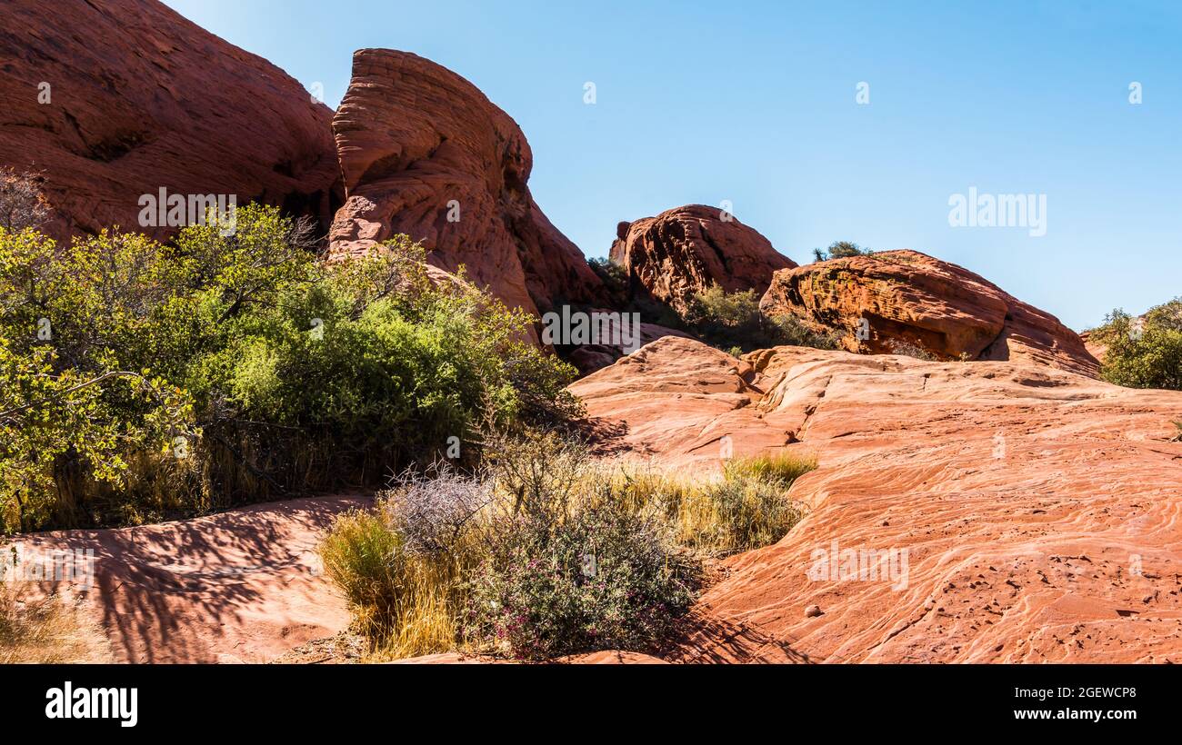 Patterns of Erosion Formed in The Aztec Sandstone of the Calico Hills ...