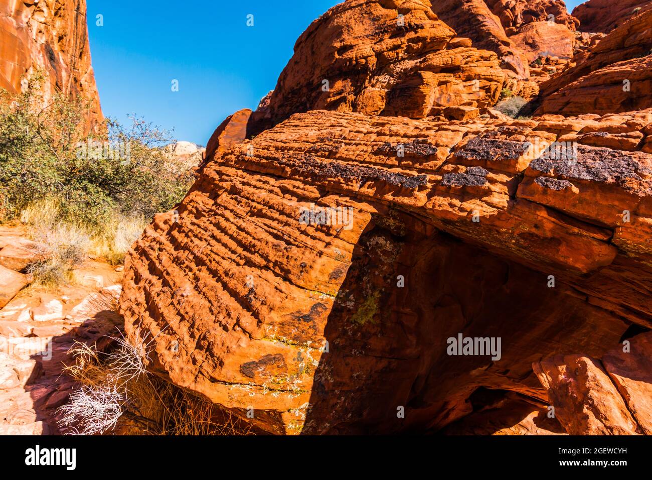 Patterns of Erosion Formed in The Aztec Sandstone of the Calico Hills ...