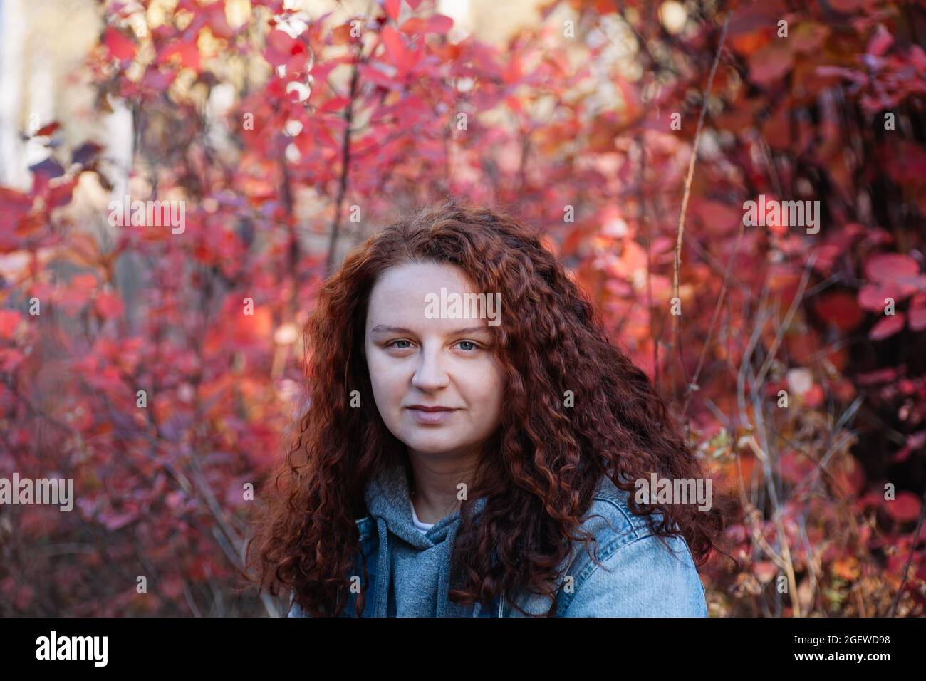 woman portrait close up. woman with long curvy brown hair in autumn ...