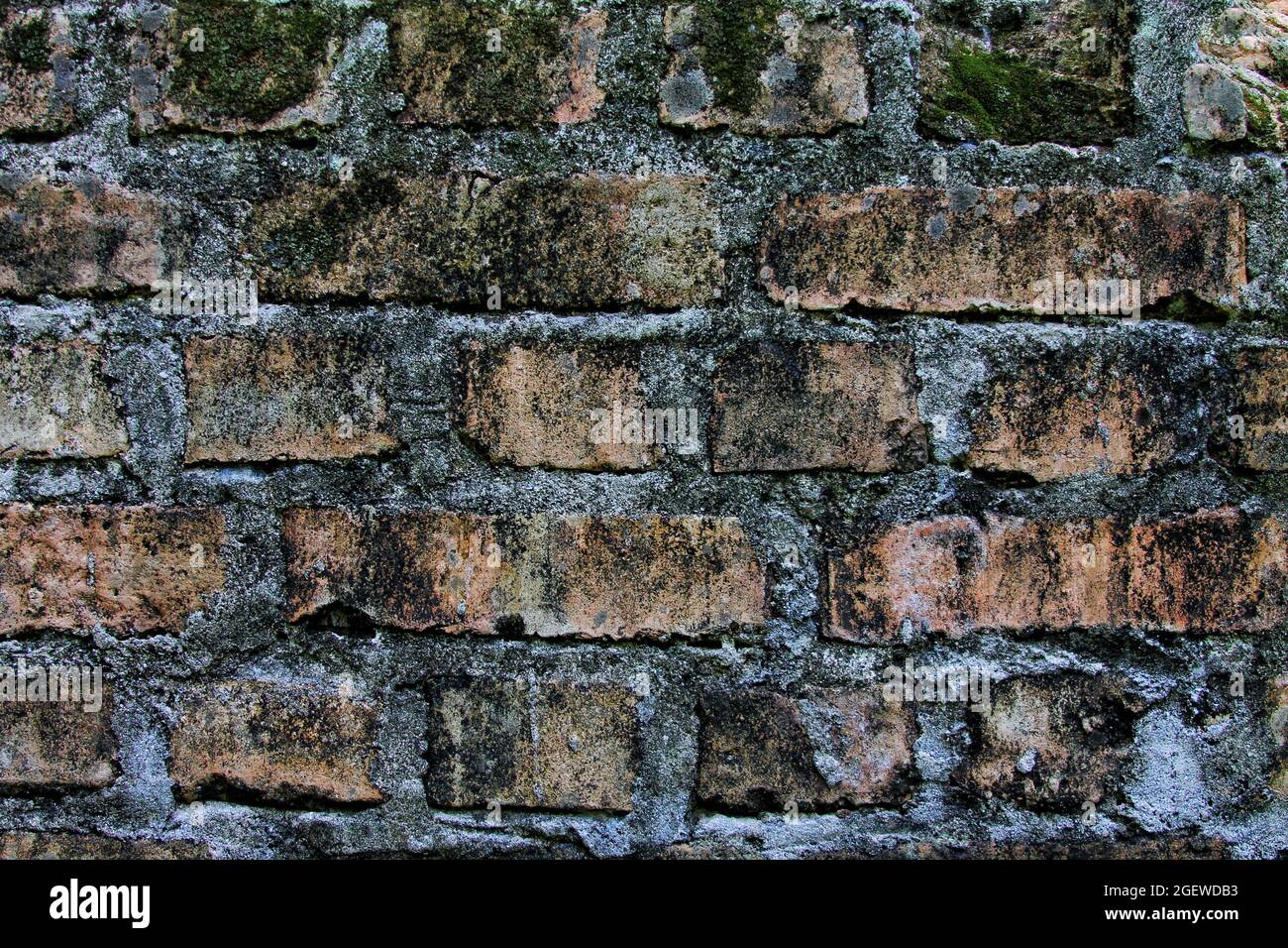 Closeup of an old mossy brick wall texture Stock Photo - Alamy