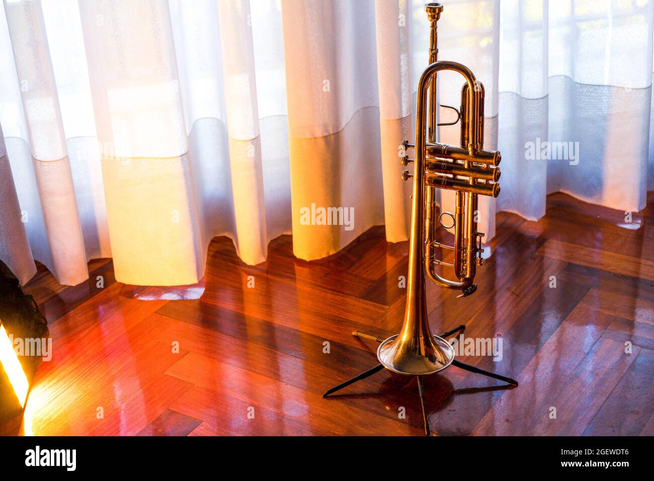 trumpet on wooden floor Stock Photo - Alamy
