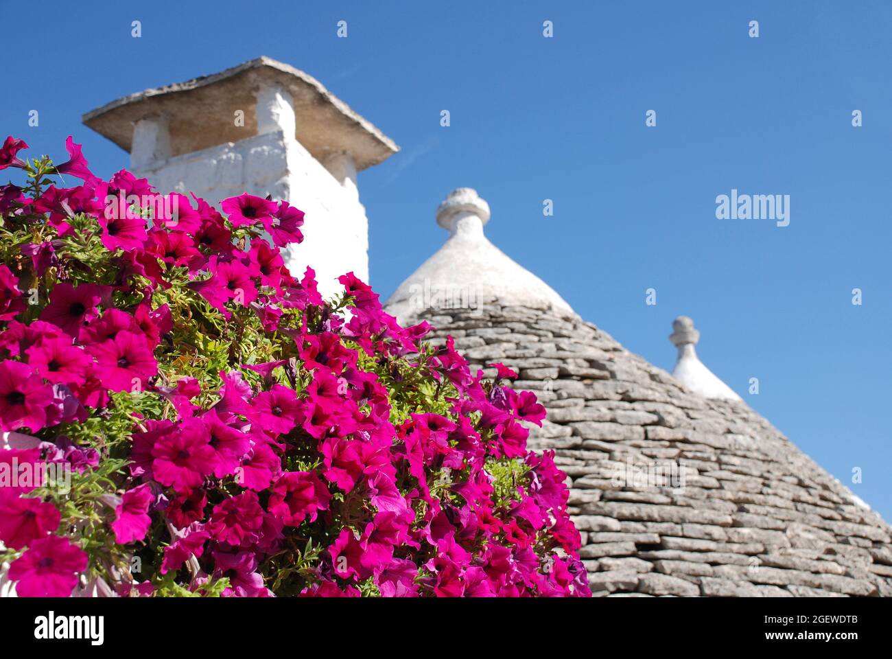 The roof of a trullo in Alberobello, Puglia, south Italy, with pink ...