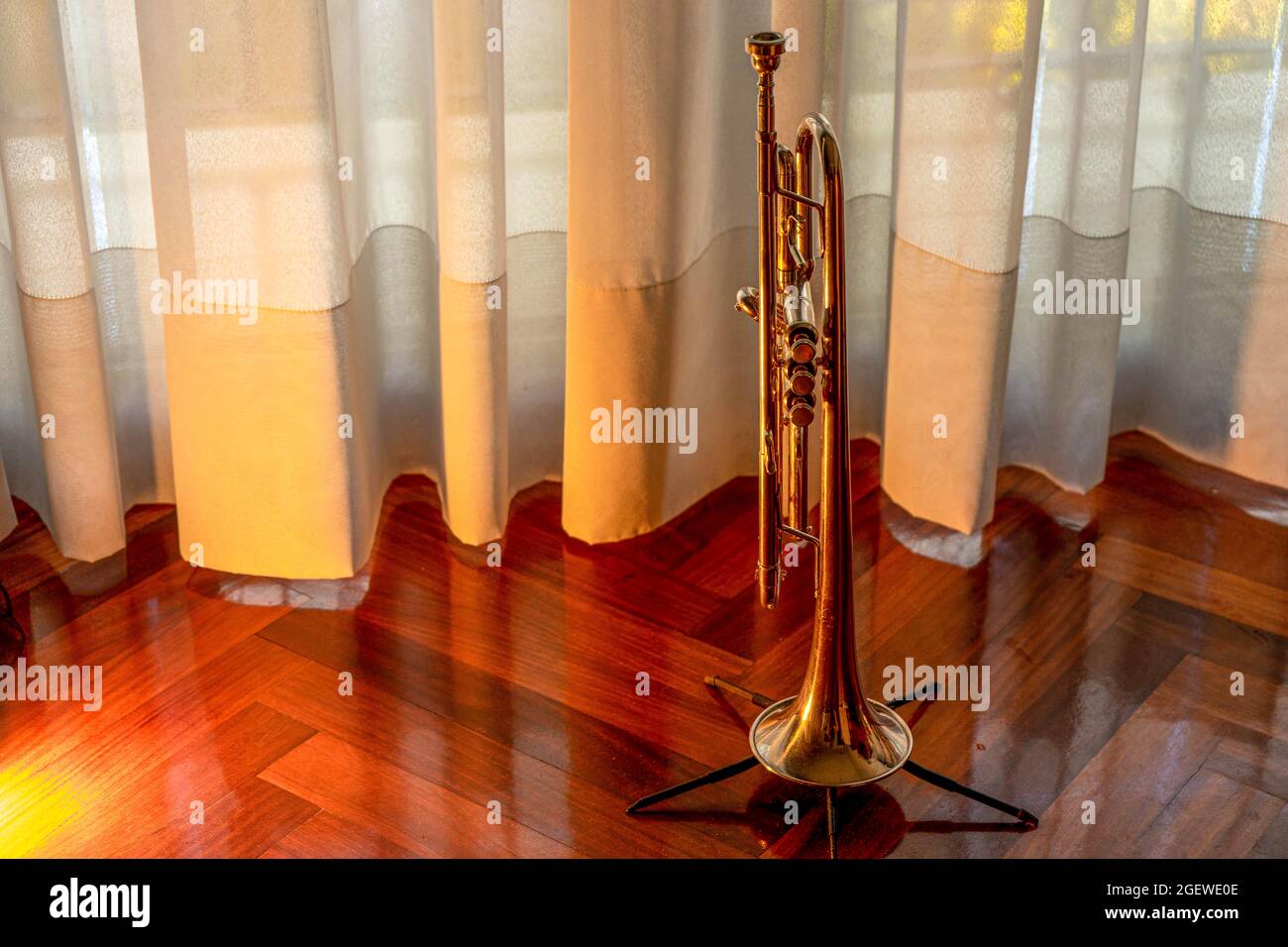 Trumpet background hi-res stock photography and images - Alamy