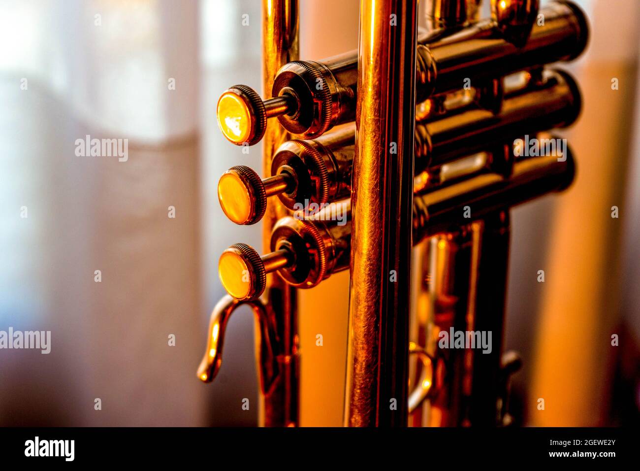 Cornet instrument hi-res stock photography and images - Alamy