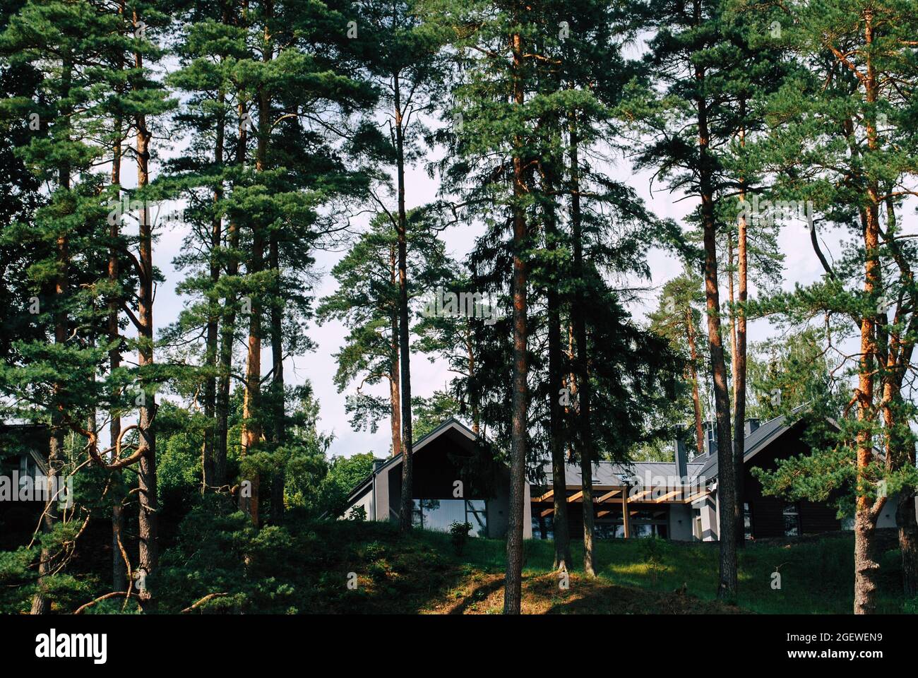 House hidden trees hi-res stock photography and images - Alamy