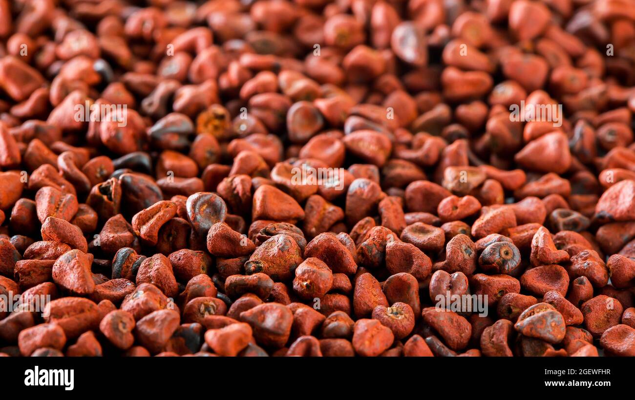 Annatto food coloring hi-res stock photography and images - Alamy