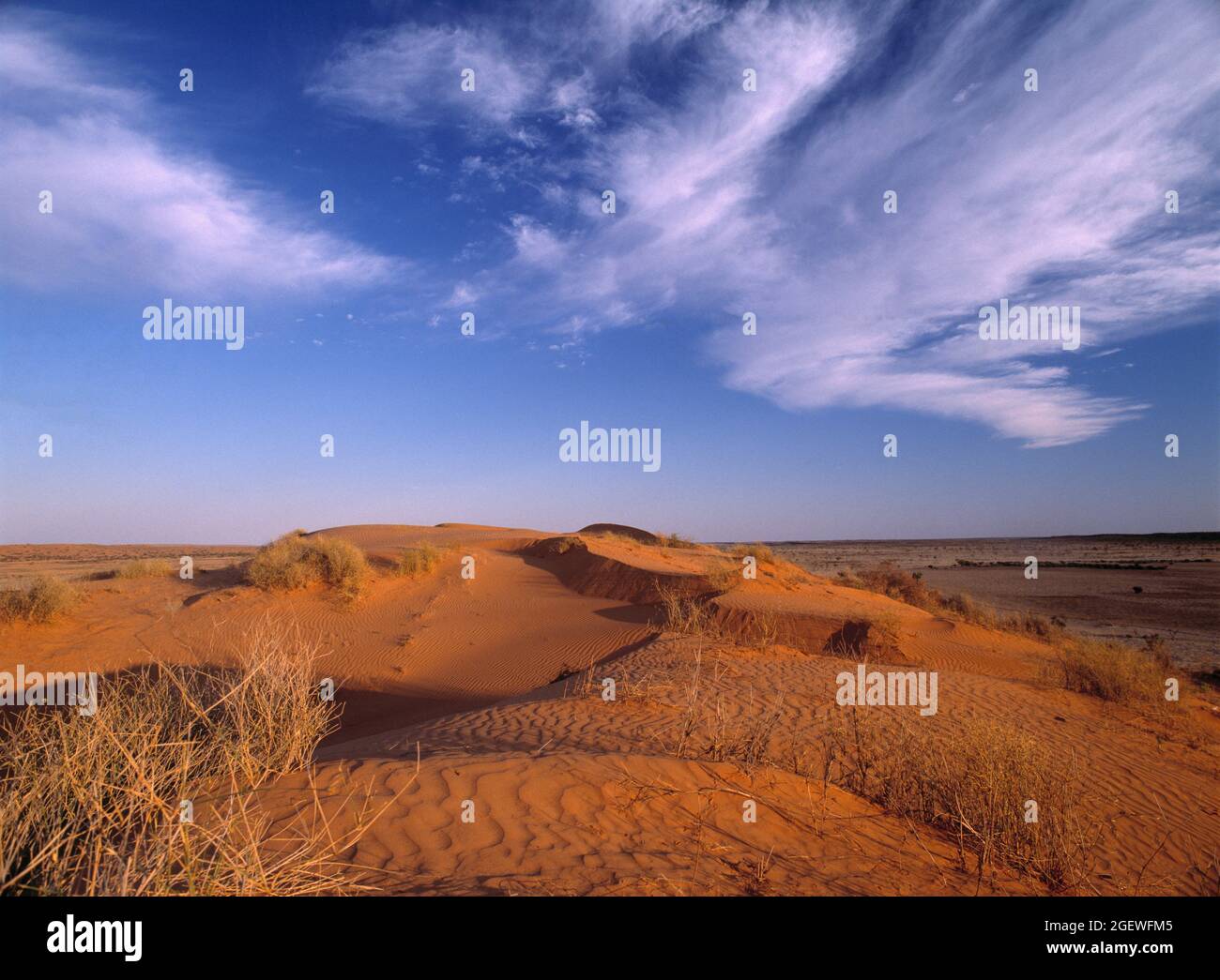 Simpson desert australia hi-res stock photography and images - Alamy
