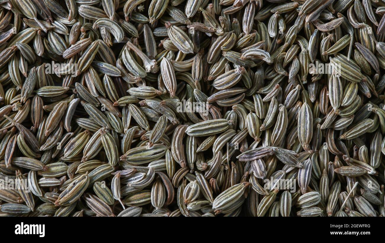 Dry fennel seed macro background Stock Photo - Alamy