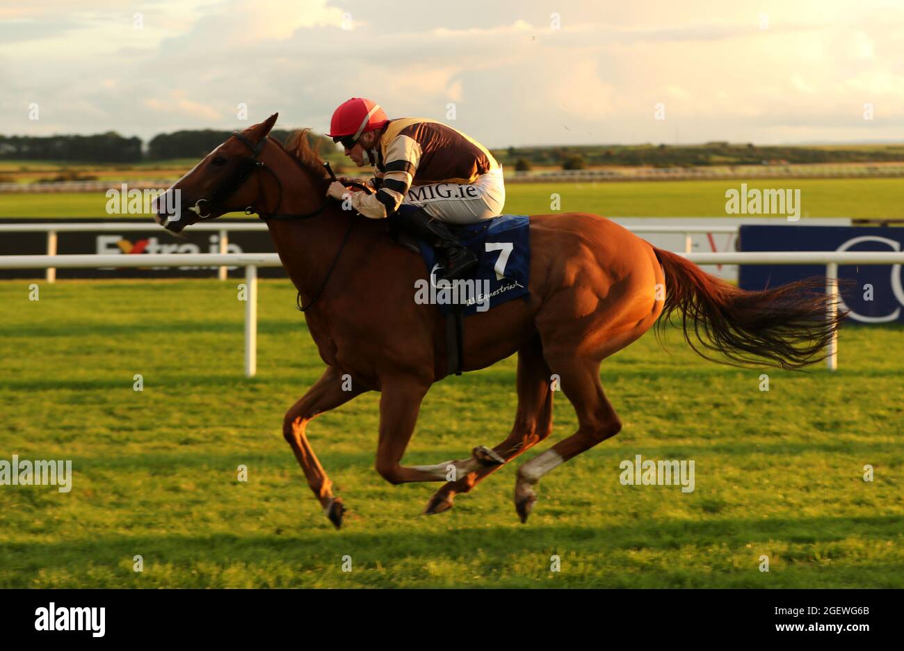 Halpin hi-res stock photography and images - Alamy