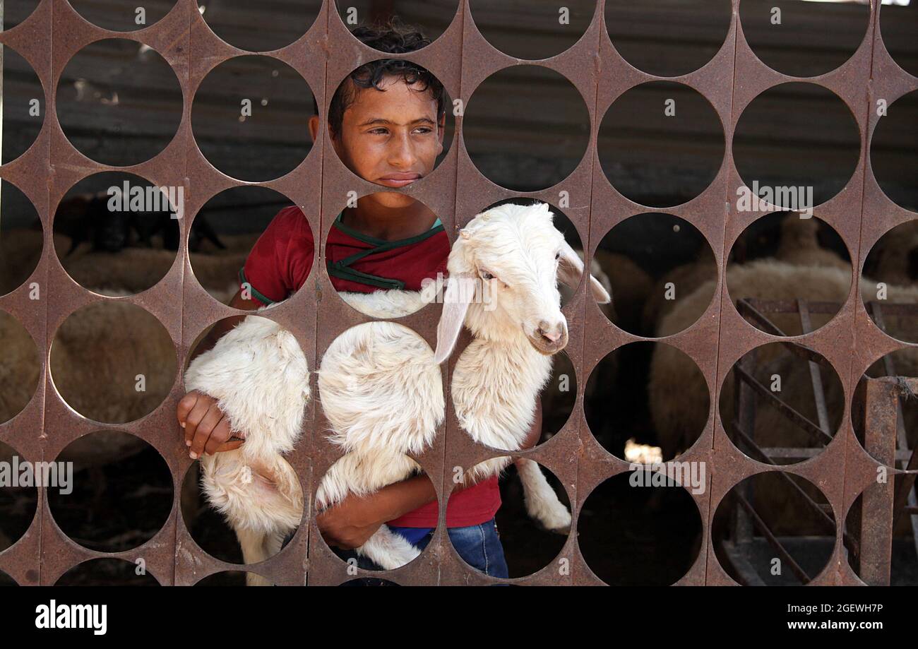 A child carrying a goat against a steel fence with round opening for ...