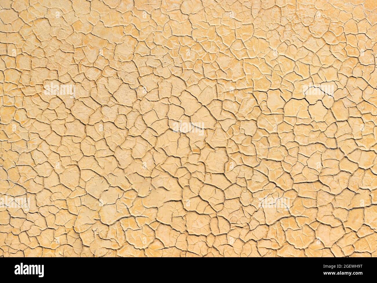 Dried cracked river bed hi-res stock photography and images - Alamy