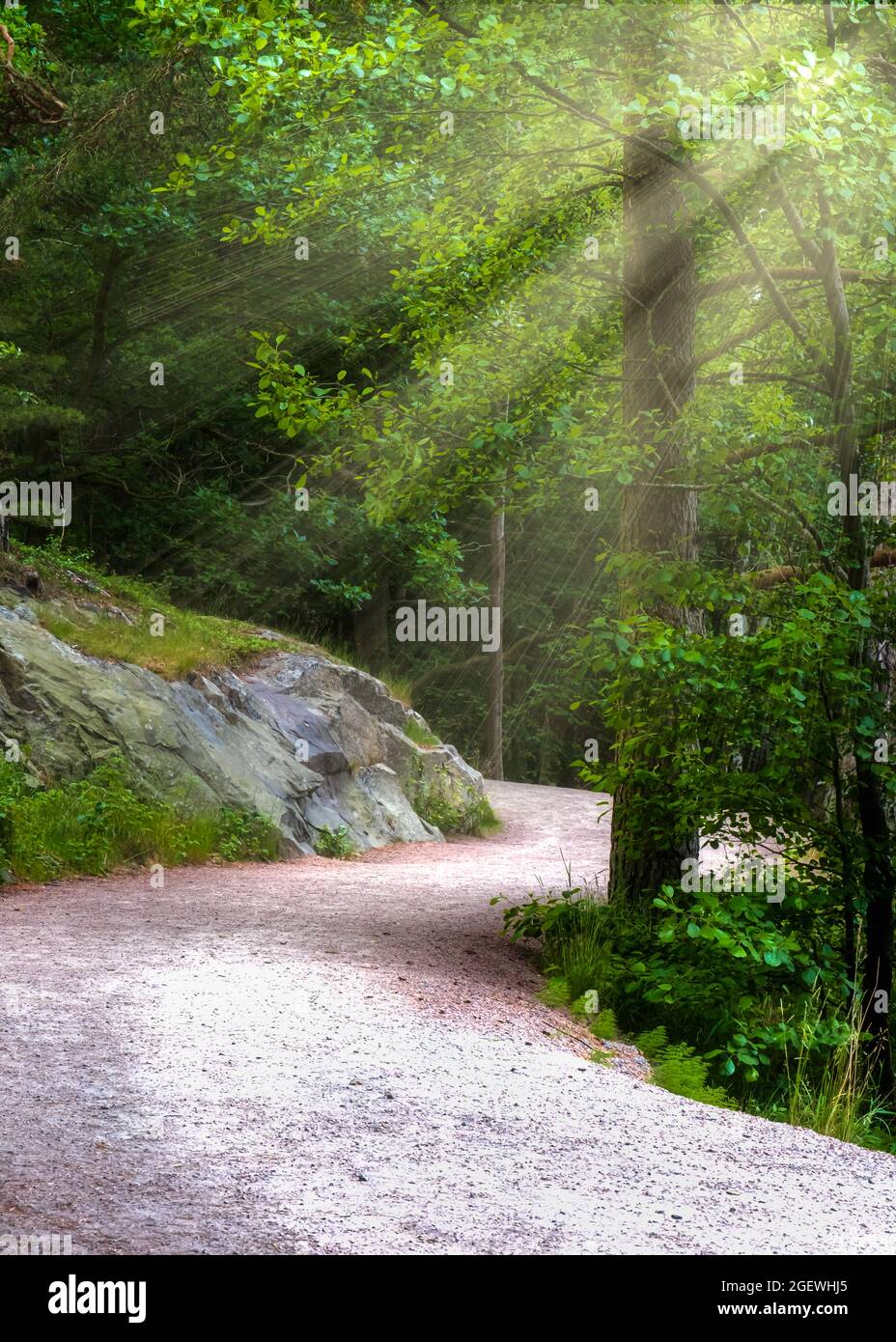 Sun rays lighting up a walking path in Delsjön , Gothenburg Sweden ...