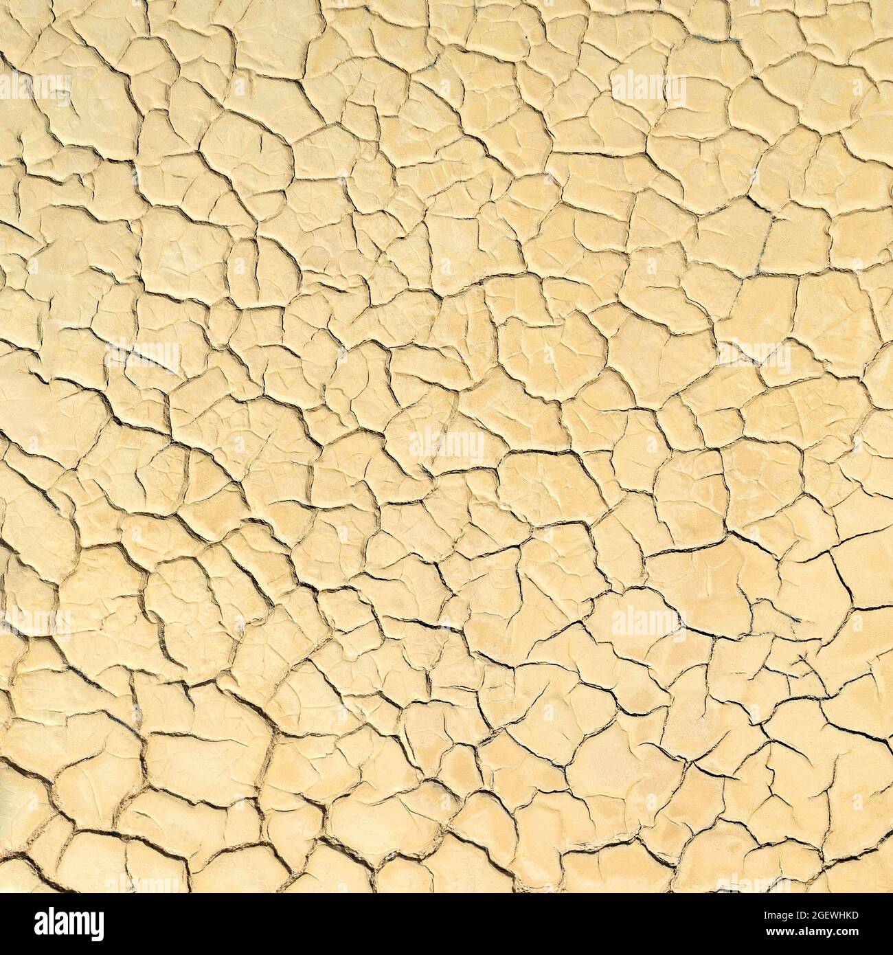 Surface of dried lake bed with cracks in mud. Natural background Stock ...