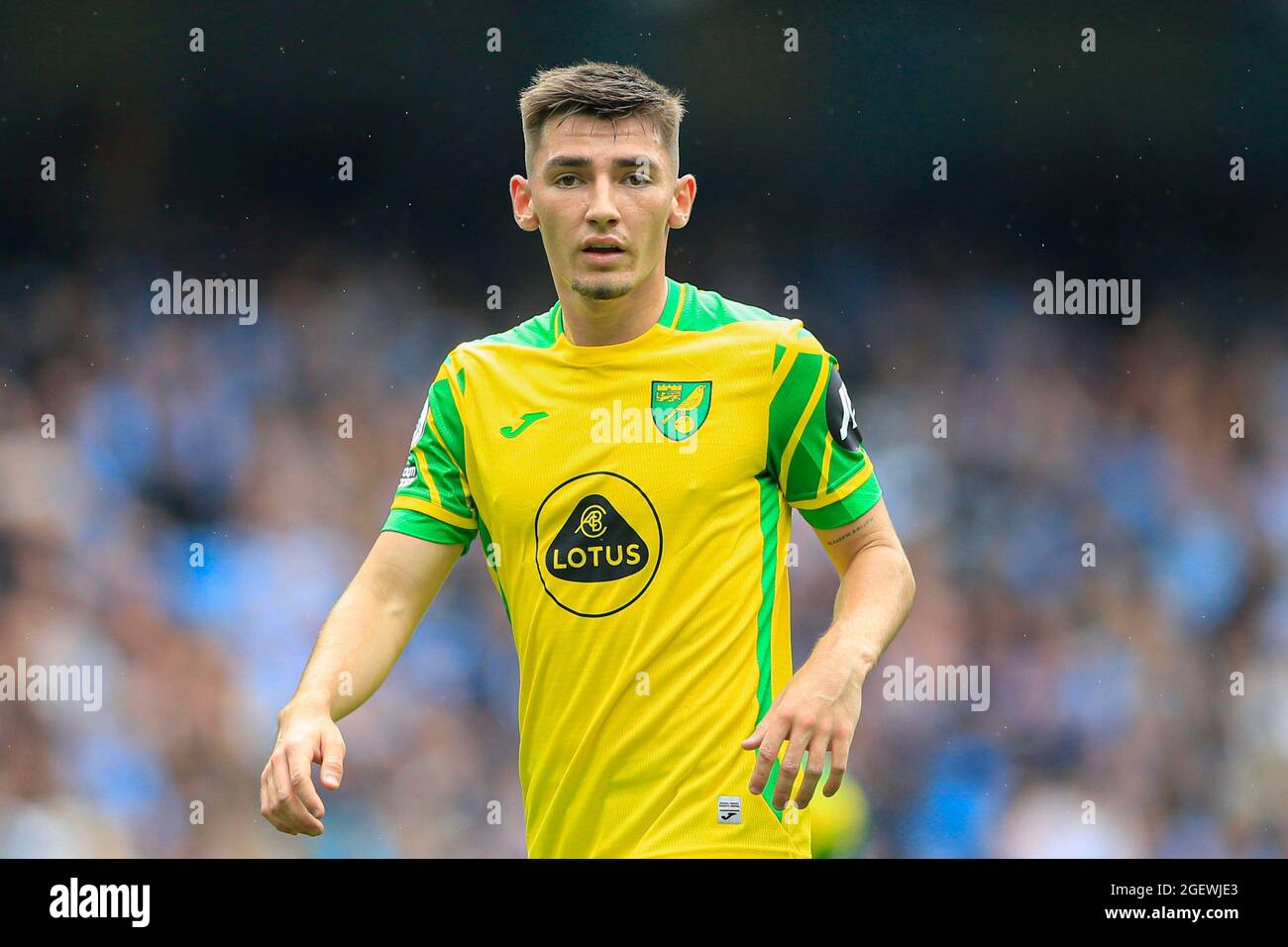 Billy Gilmour #8 of Norwich City Stock Photo - Alamy