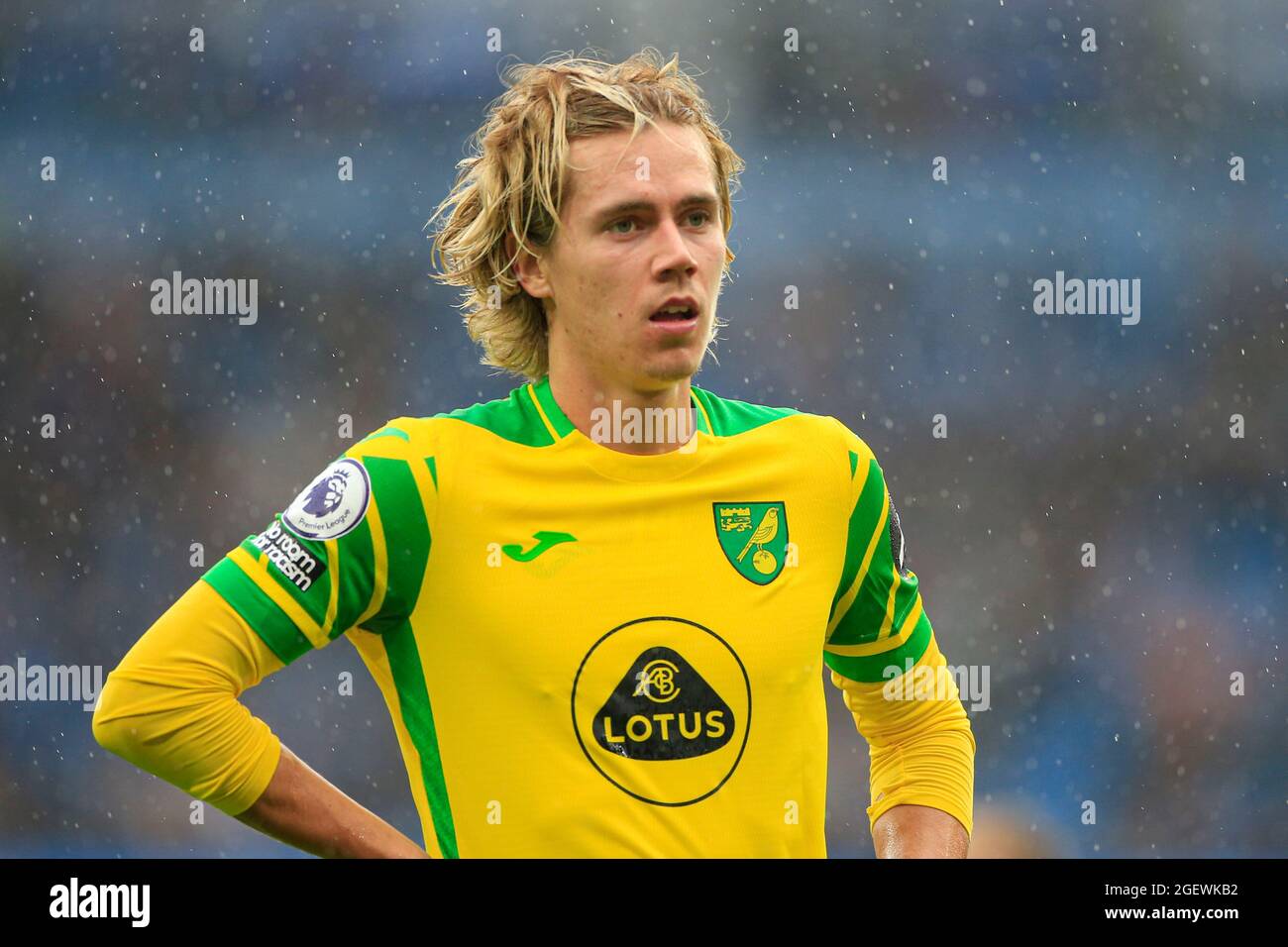 Todd cantwell hi-res stock photography and images - Alamy