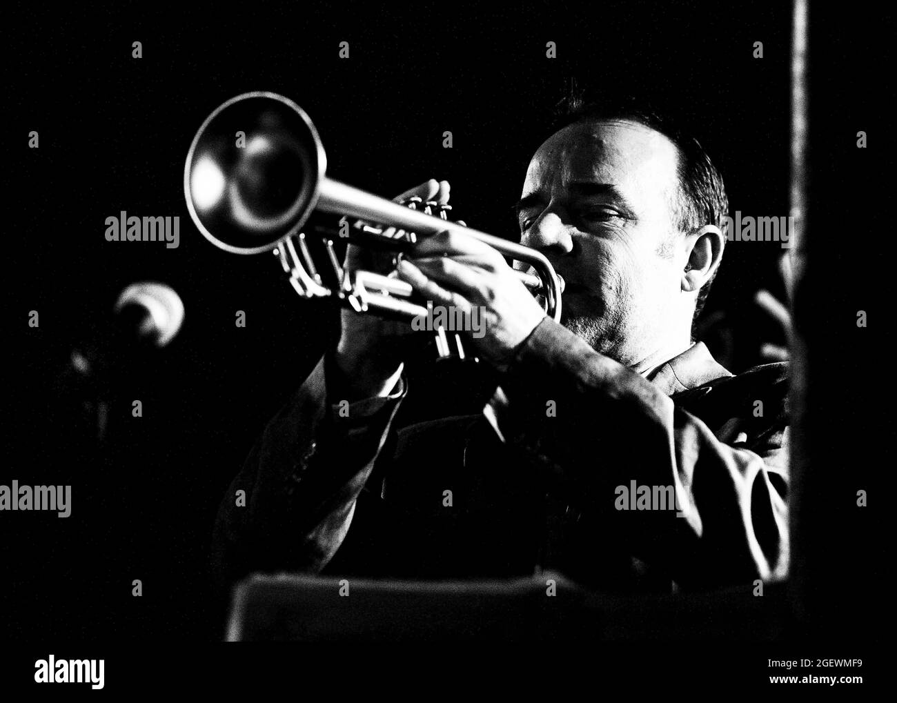 Colin steele band hi-res stock photography and images - Alamy