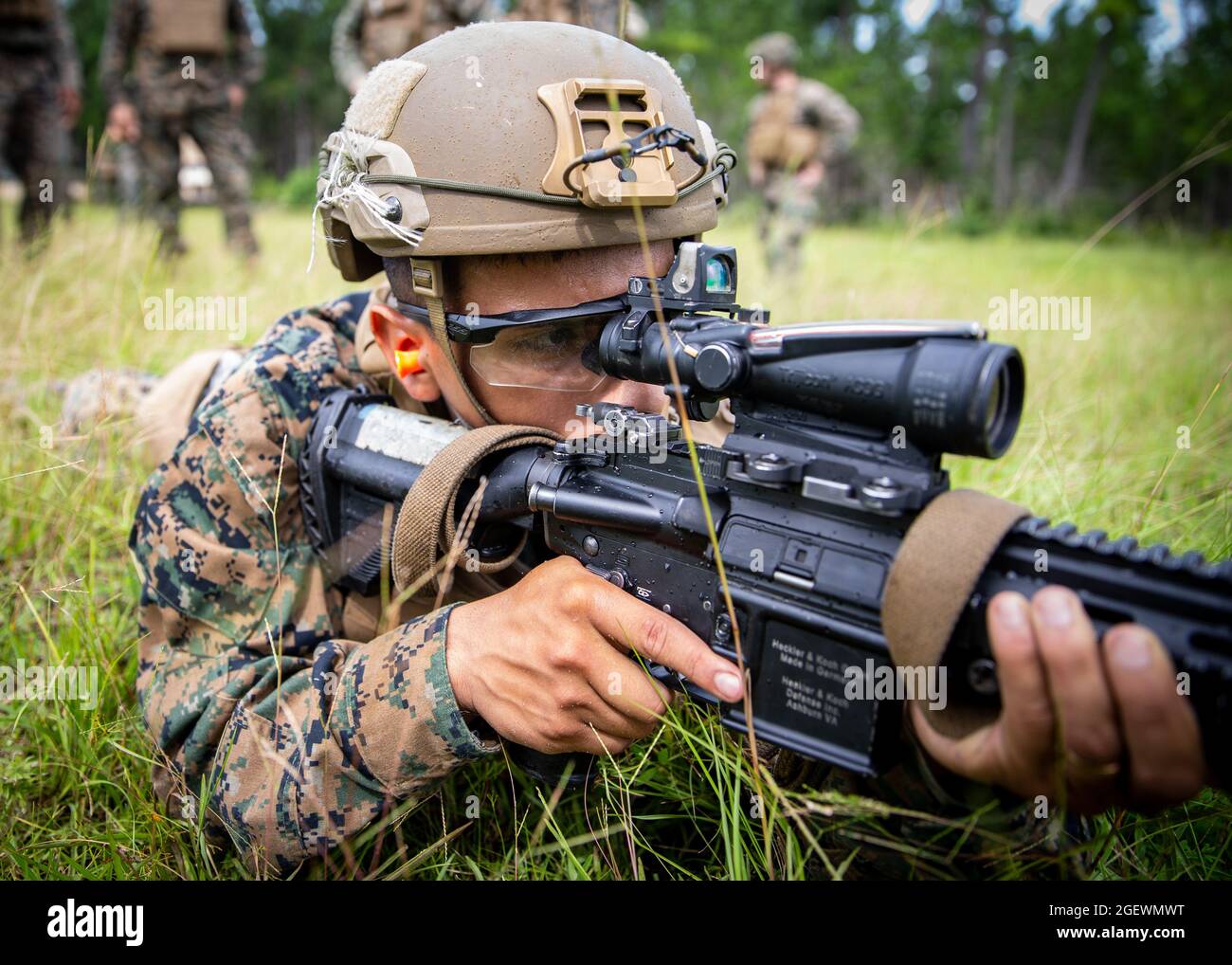 Anti personnel obstacle breaching system hi-res stock photography and ...