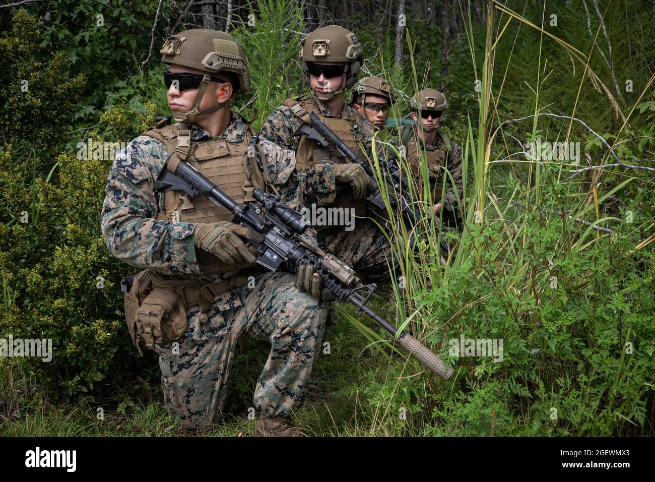 U.S. Marines with 2d Combat Engineer Battalion, 2d Marine Division ...