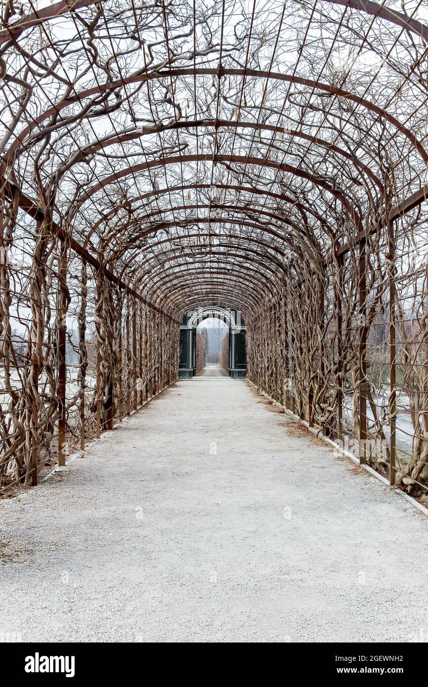 plants tunnel at Schönbrunn Palace garden in winter in Vienna Stock ...
