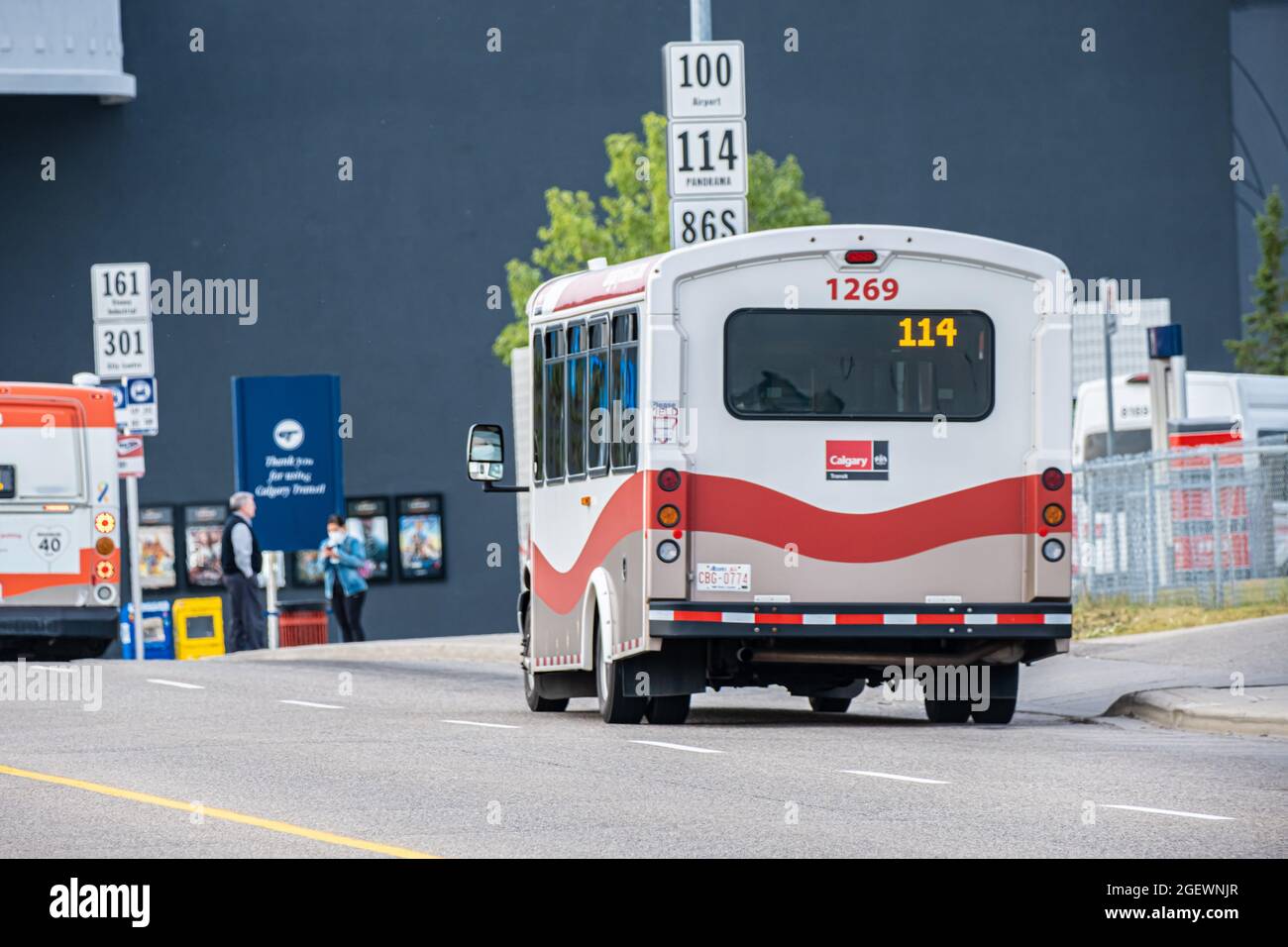 Calgary bus hi-res stock photography and images - Alamy