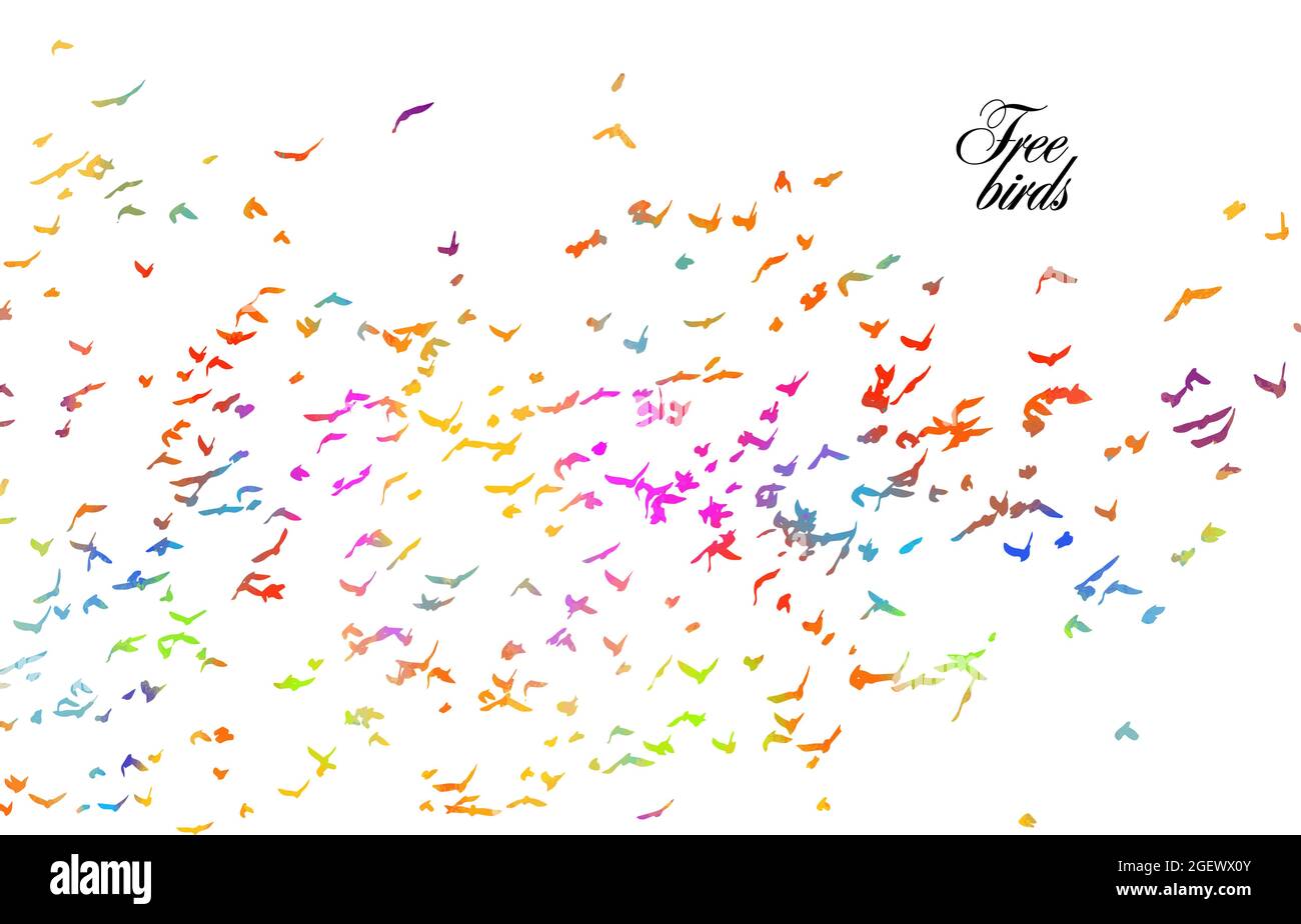 A flock of colorful birds. Vector illustration Stock Vector Image & Art ...