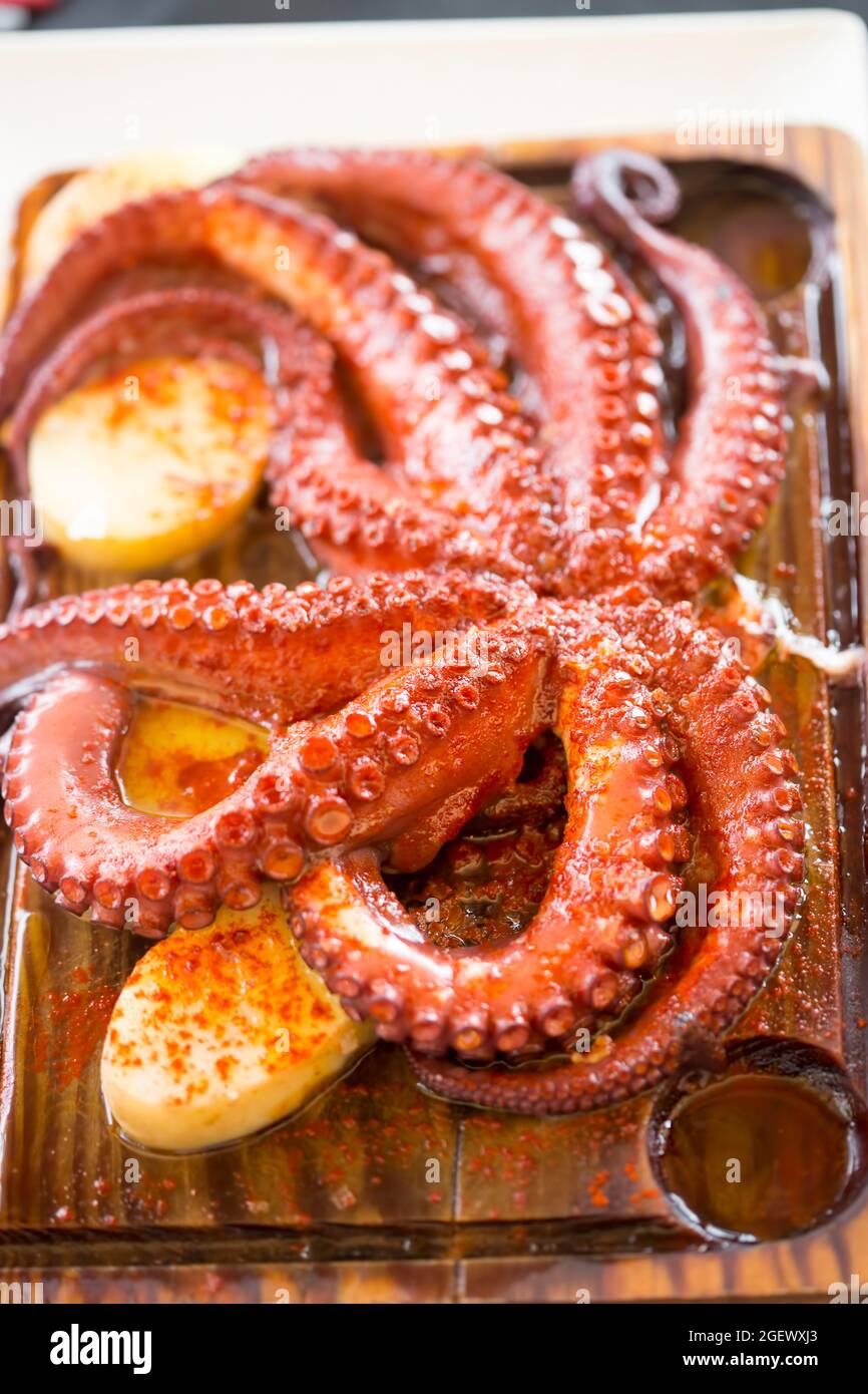 Pulpo Gallego - whole galician octopus. Cooked octopus served with ...