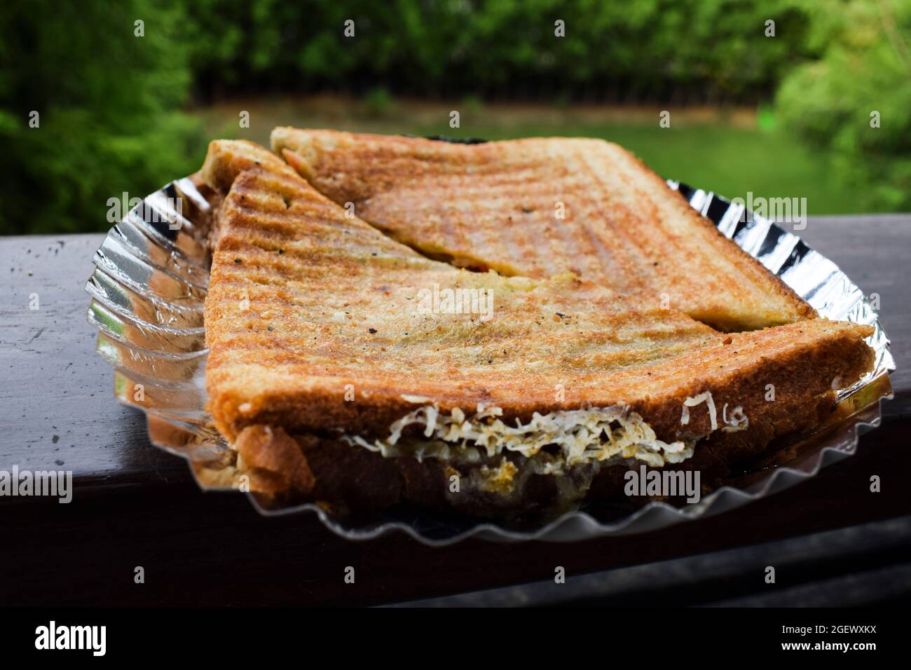 Veg Cheese Toast Sandwich