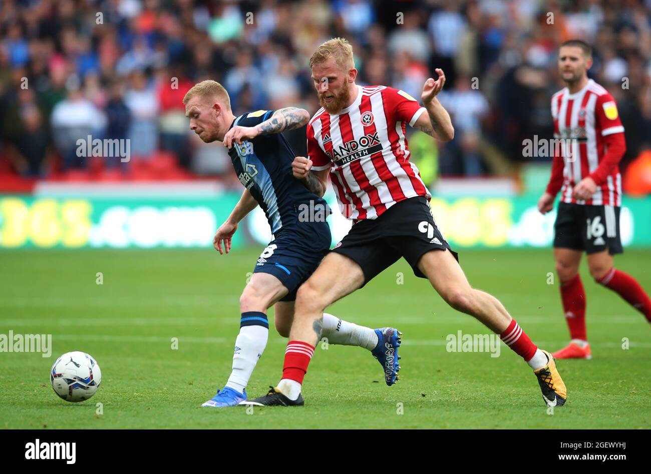 Simon obrien hi-res stock photography and images - Alamy