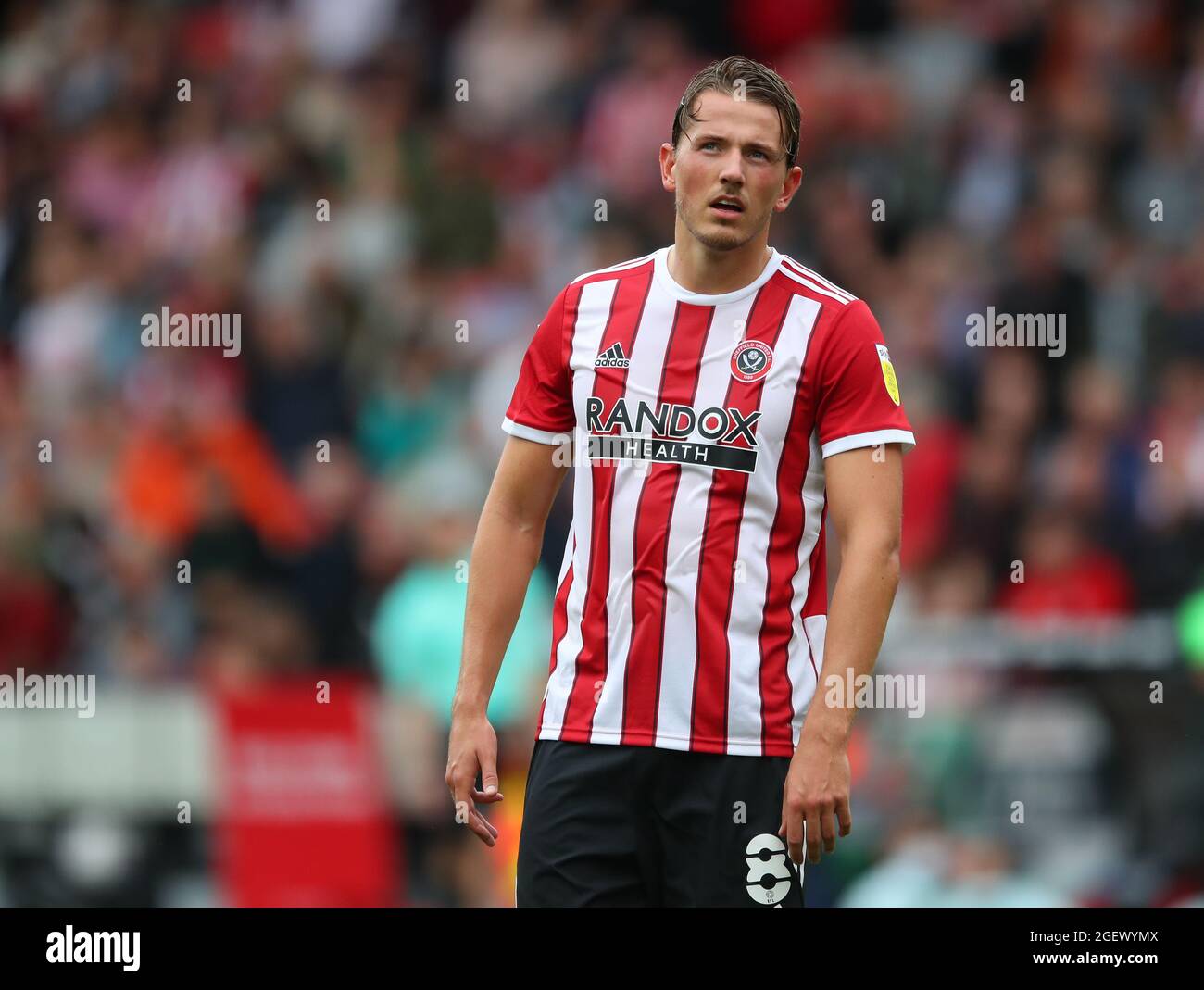 Sheffield, England, 21st August 2021. Sander Berge of Sheffield Utd ...