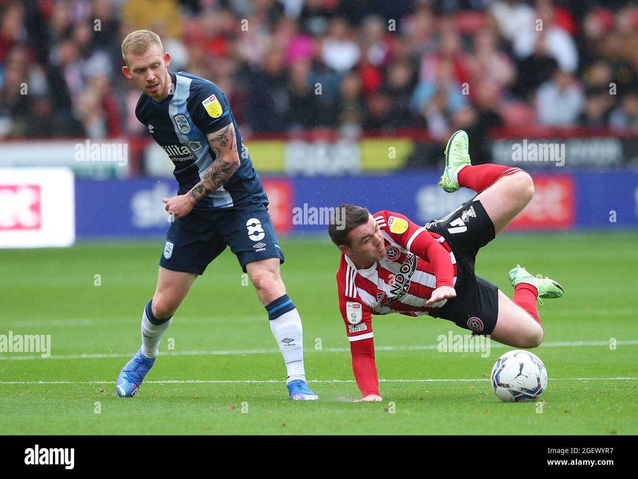 Simon obrien hi-res stock photography and images - Alamy