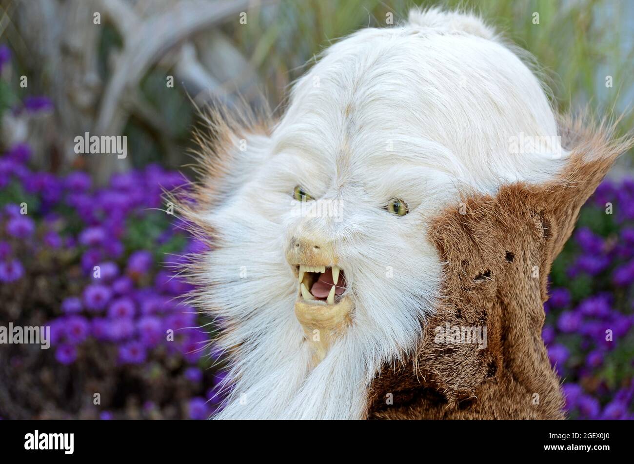 creepy creature created by taxidermist from whitetail deer fur Stock ...