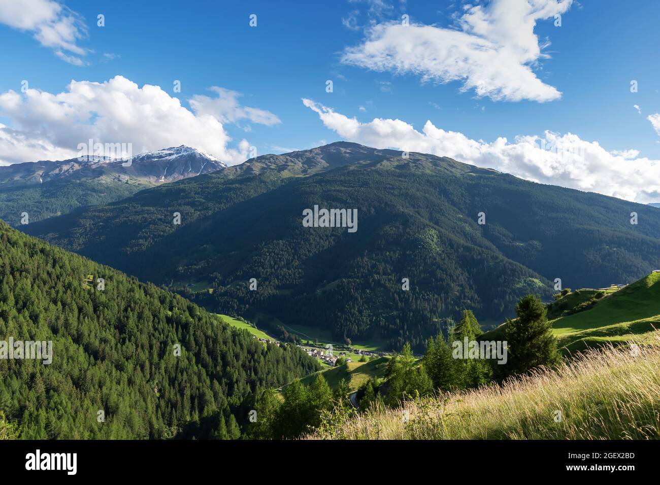 Val zebru hi-res stock photography and images - Alamy