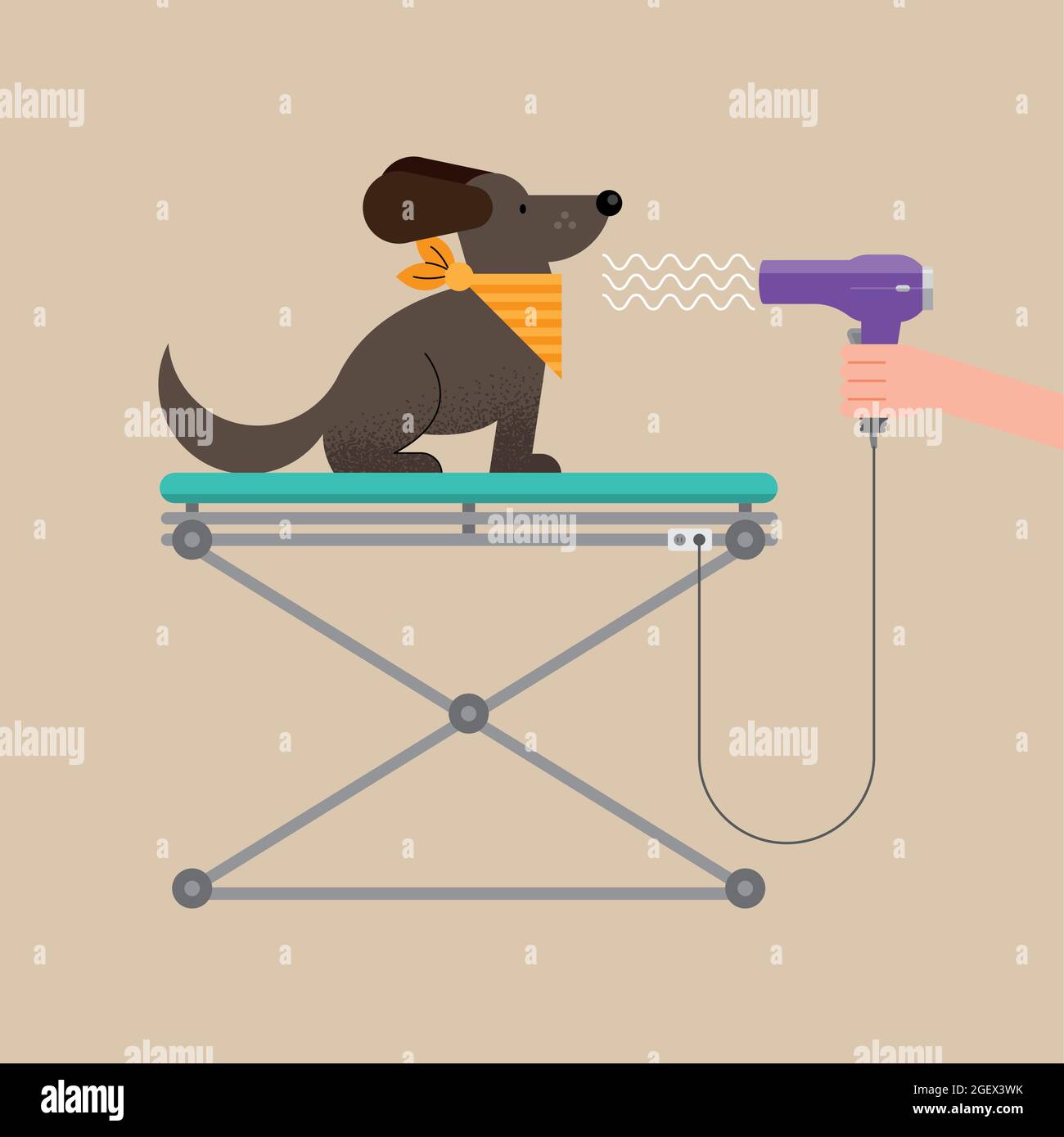 Electric pet dryer Stock Vector Images - Alamy